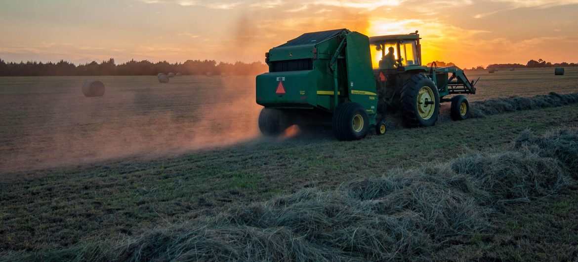 Harvest Innovations - Moon Meadow Farms