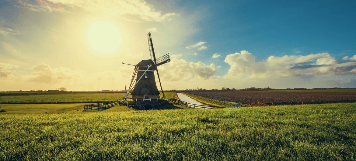 Agriculture farming - Moon Meadow Farms